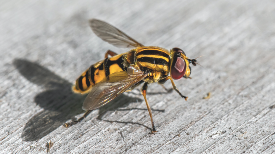 Kind - Kleuter – Gezondheid - AllesOverKinderen.nl