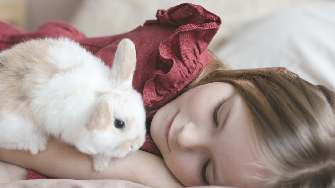 Een landschildpad als huisdier: dit moet je weten!