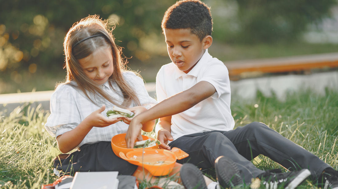 Cito toets: alles wat je hierover moet weten!
